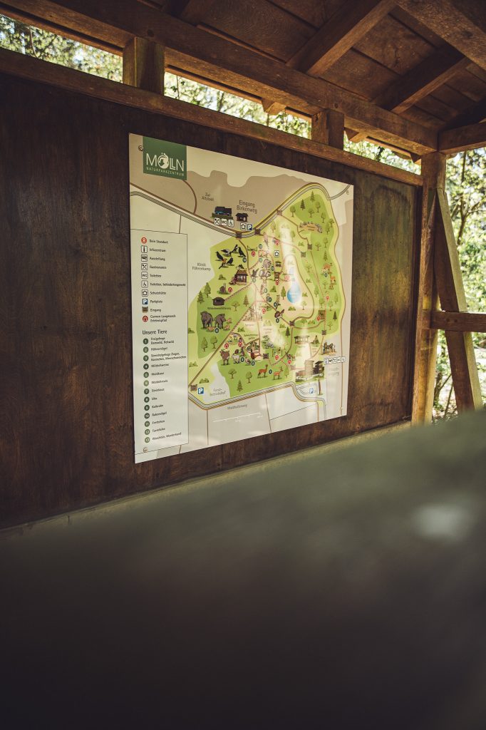Unser ungeplanter Stopp in Mölln beim WomoDoc und im Wildpark